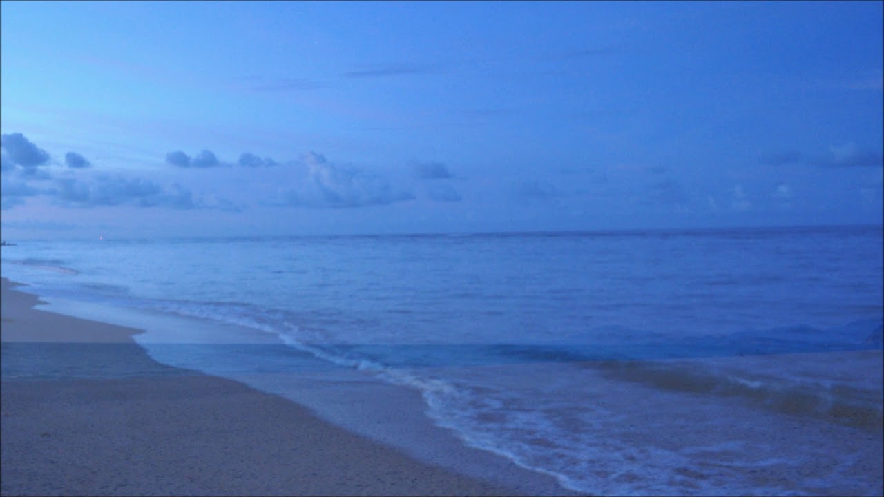 浜辺の歌 薬師丸ひろ子 - YAYAFA