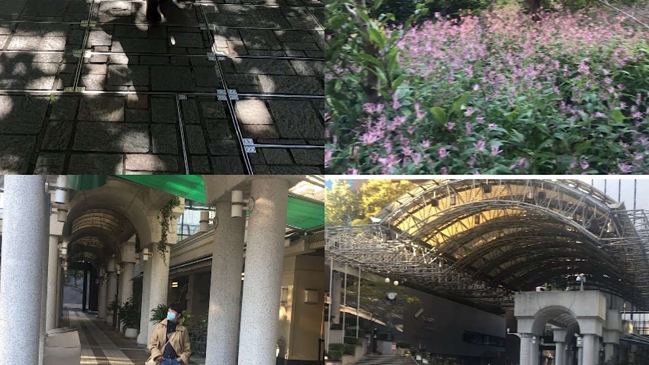 買い物散歩 50代、60代の方たちへ - YAYAFA