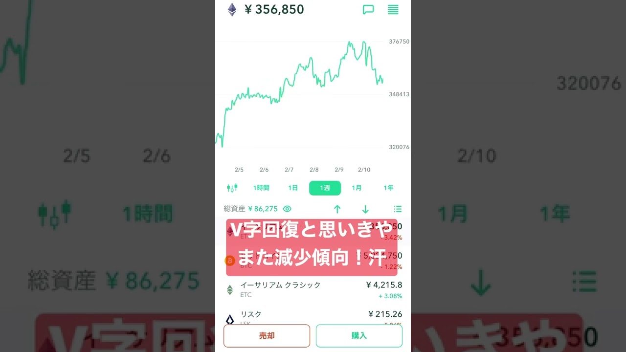 【投資初心者】暗号資産、V字回復からの減少！泣 - YAYAFA
