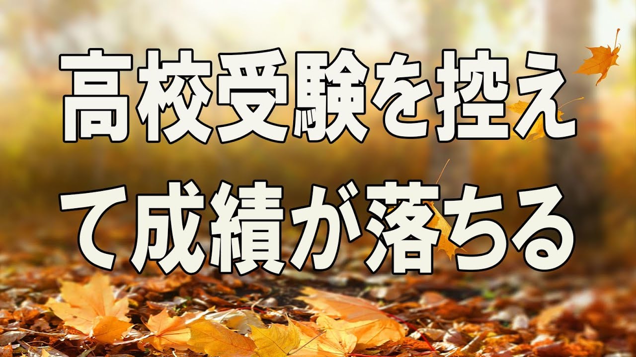 48歳女性 柴田理恵 大原敬子 テレフォン人生相談 - YAYAFA