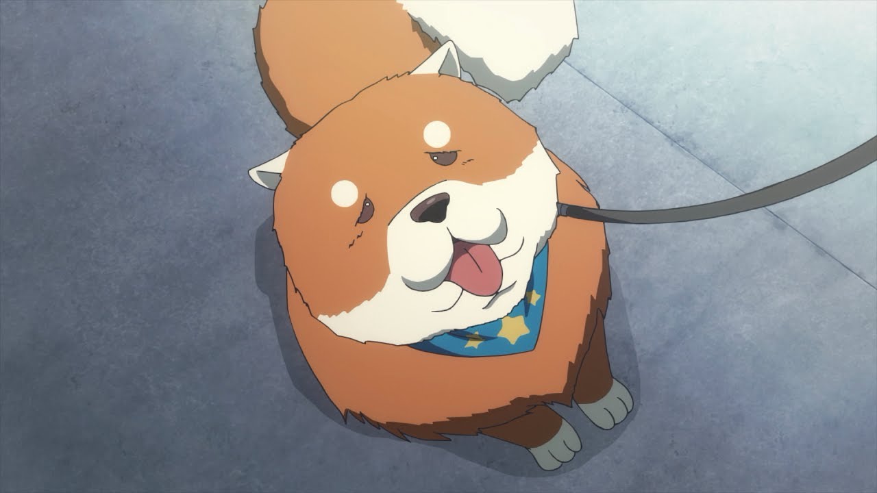 DIVE!! 第2話予告 - YAYAFA