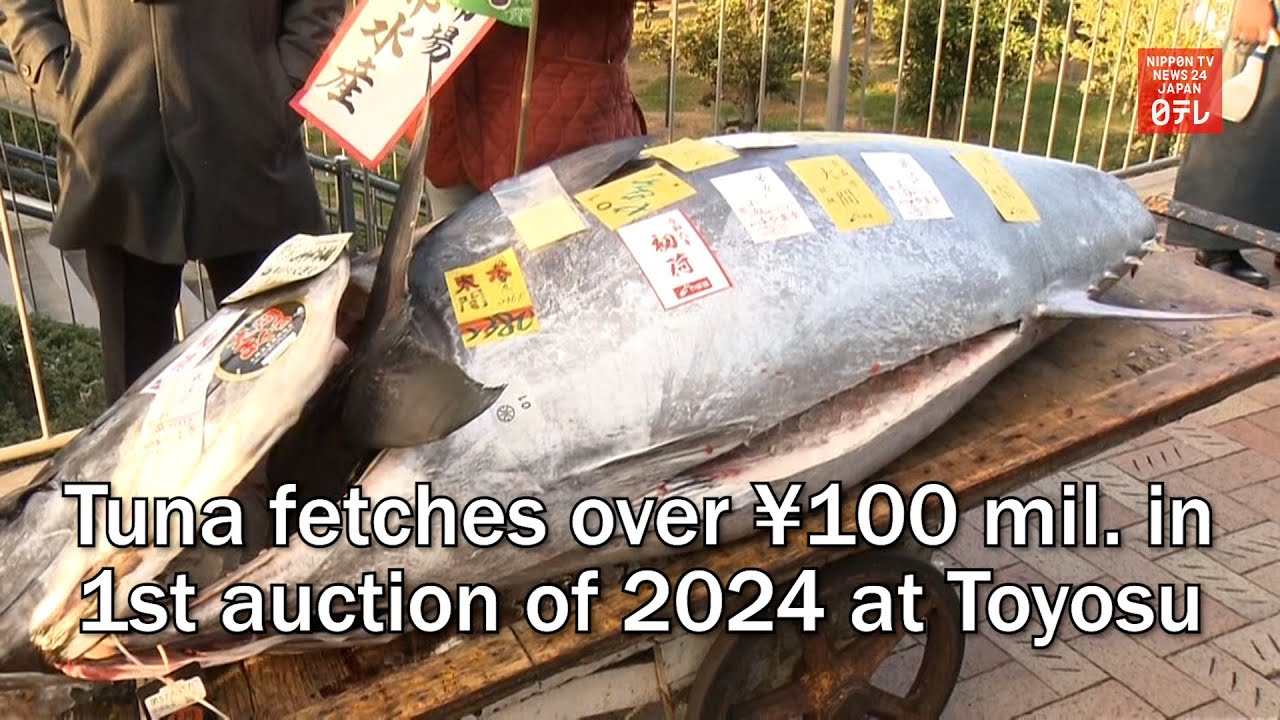 Tuna fetches over 100 million yen in first auction of 2024 at Tokyo's Toyosu Market - YAYAFA