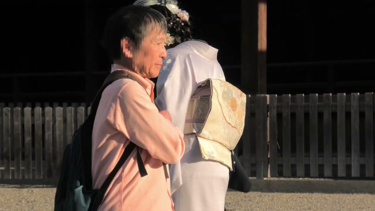 美女と桜 Part 1 - YAYAFA