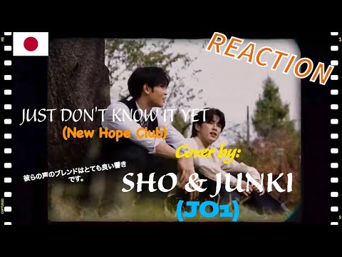 [FILIPINO REACTION VIDEO] | 🇯🇵 [𝐏𝐋𝐀𝐍𝐉] COVER：'Just Don't Know It Yet' – SHO & JUNKI (New Hope ...