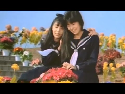 アリエスの乙女たち recollection 柏原芳恵 - A・r・i・e・s - YAYAFA