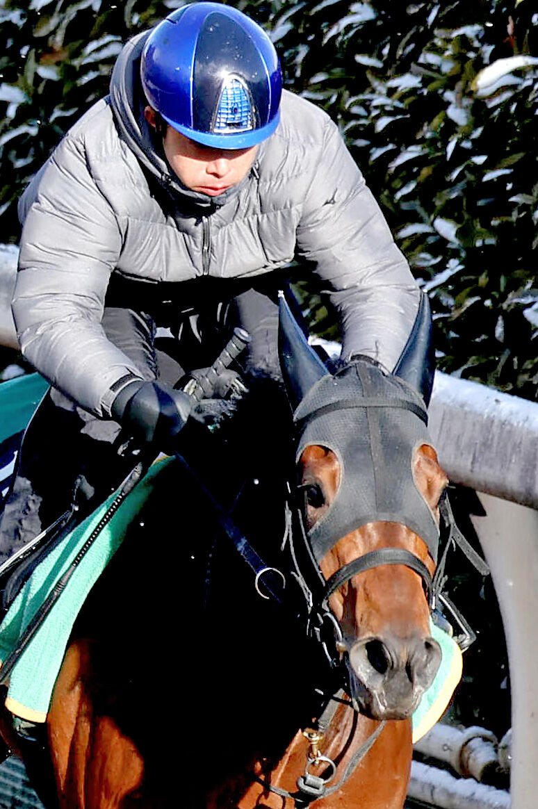【岩田康誠の熱血！競馬道】ローランドと皐月賞“切符”つかむ - UMATOKU | 馬トク - YAYAFA