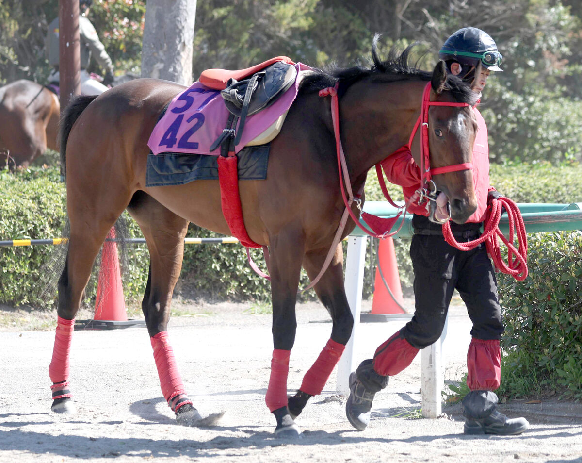日曜東京競馬場の注目激走馬…東京11Rフローラステークス・G2（馬トク報知） - Yahoo!ニュース - Yahoo!ニュース - YAYAFA