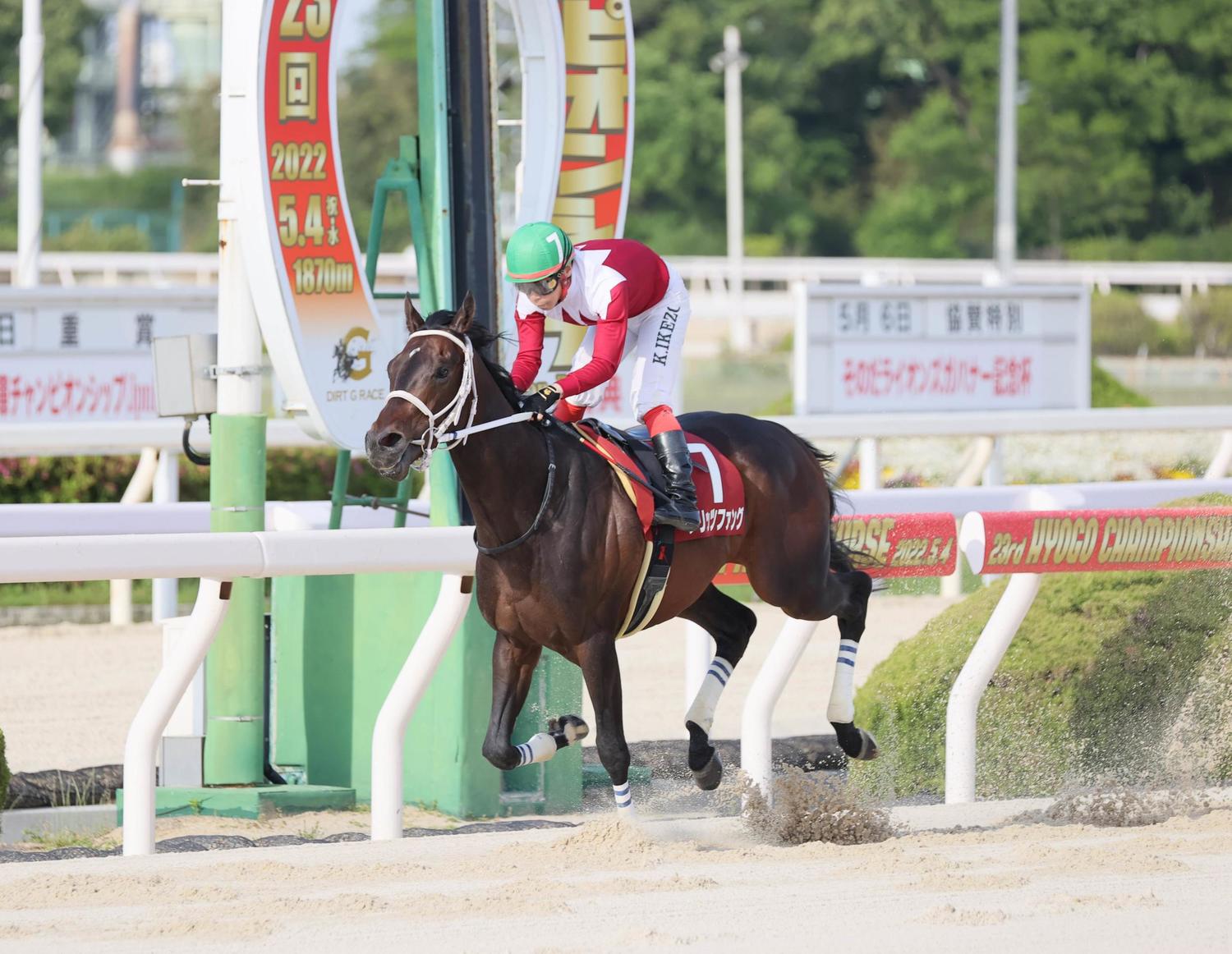 22年兵庫CS制覇、JDD3着ブリッツファングが門別競馬へ移籍／抹消馬情報（日刊スポーツ） - Yahoo!ニュース - Yahoo!ニュース - YAYAFA