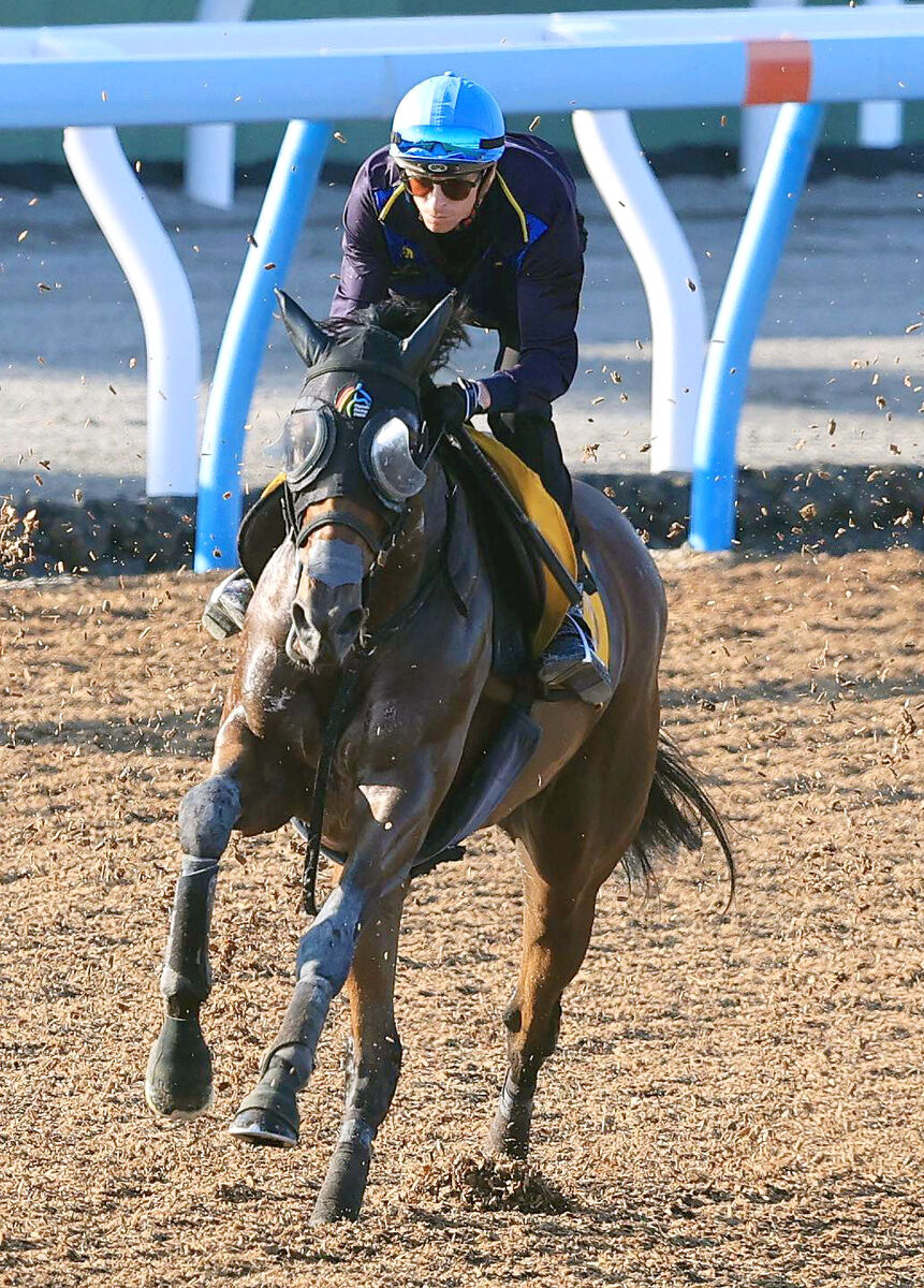 日曜東京競馬場の注目激走馬…東京11R府中牝馬ステークス・G3 - UMATOKU | 馬トク - YAYAFA