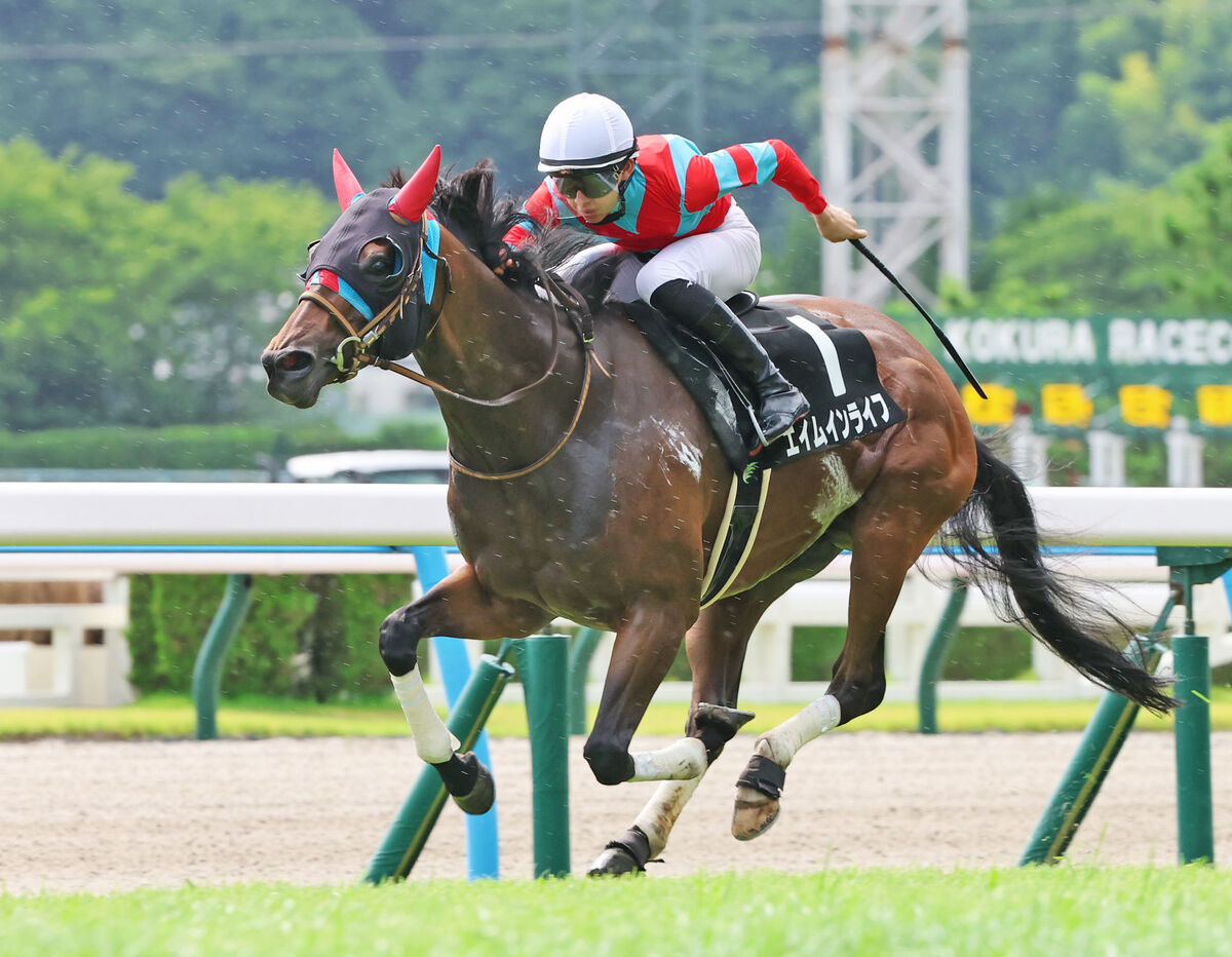 【小倉11R・テレQ杯】8番人気の伏兵エイムインライフが逃げ切り 高杉吏麒騎手はメイン初勝利「自分の競馬をして強かった」 - UMATOKU | 馬トク - YAYAFA