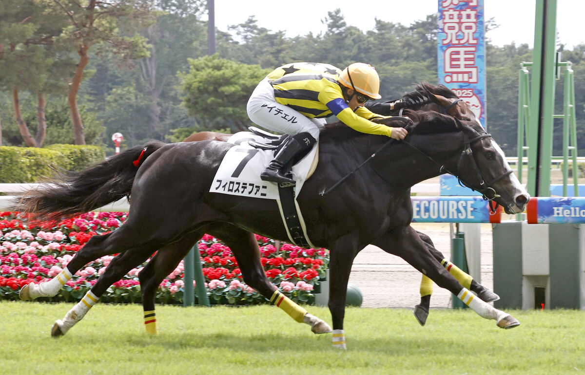 【新潟3R・2歳新馬戦】皐月賞馬ソールオリエンスの半妹フィロステファニ初陣Vもキング騎手「まだ競馬のことが分かっていないところが多かった」 - UMATOKU | 馬トク - YAYAFA