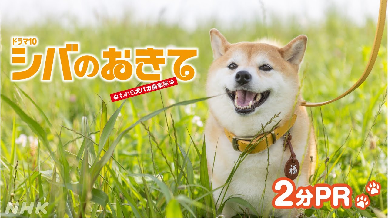 【ドラマ10 シバのおきて】2分PR 犬バカよここに集まれ！大東駿介 飯豊まりえ 9/30(火)スタート | ドラマ10 | NHK - YAYAFA