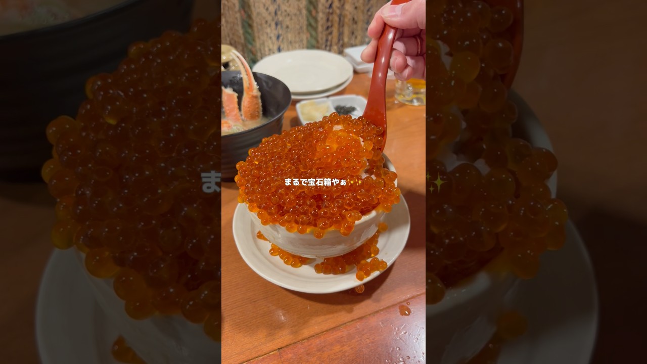 1泊2日の弾丸北海道旅行！#shorts #北海道旅行#札幌 #小樽#北海道グルメ #旅行vlog - YAYAFA